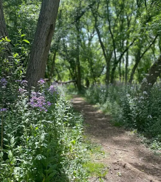 The #ParkChallenge with Nate - Friends of Grand Rapids Parks