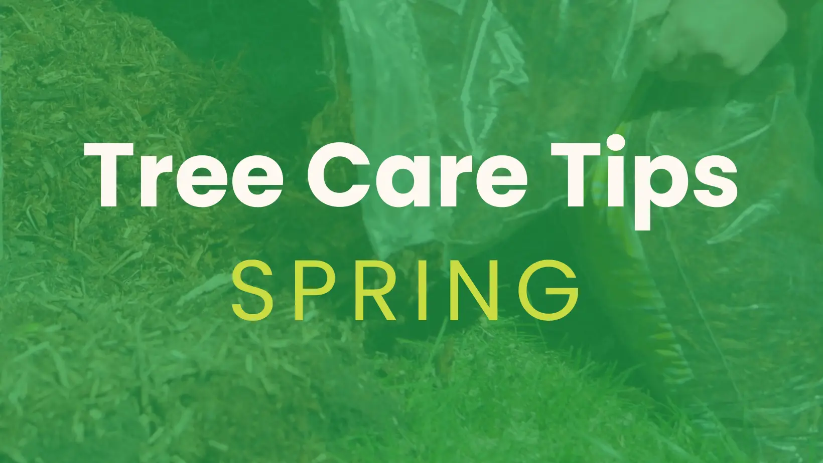Spring Tree Care Tips - Friends of Grand Rapids Parks